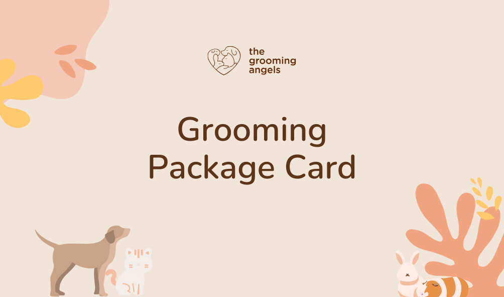 Package Card – The Grooming Angels