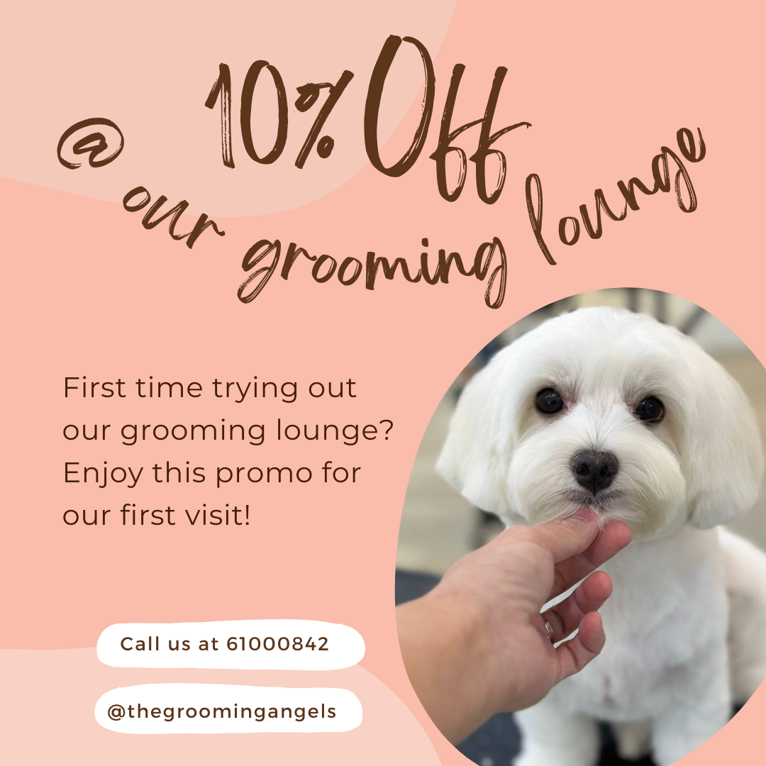 The Grooming Angels